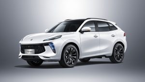 تي 5 ايفو - Forthing